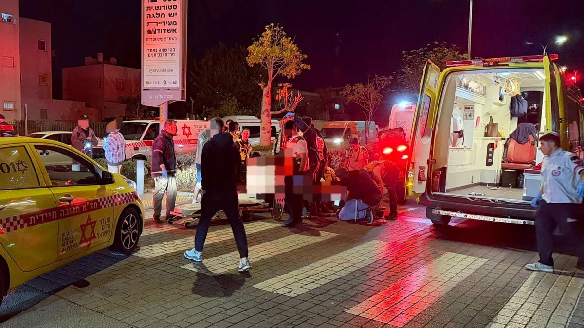 תאונות דרכים בהולכי רגל: מידע חיוני למניעה ובטיחות | כיכר השבת